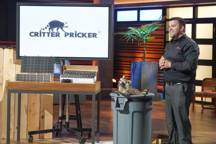 Critter Pricker Shark Tank Update - Shark Tank Season 11