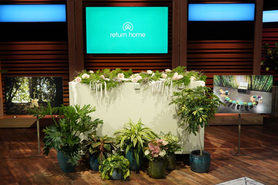 Return Home - Shark Tank Blog