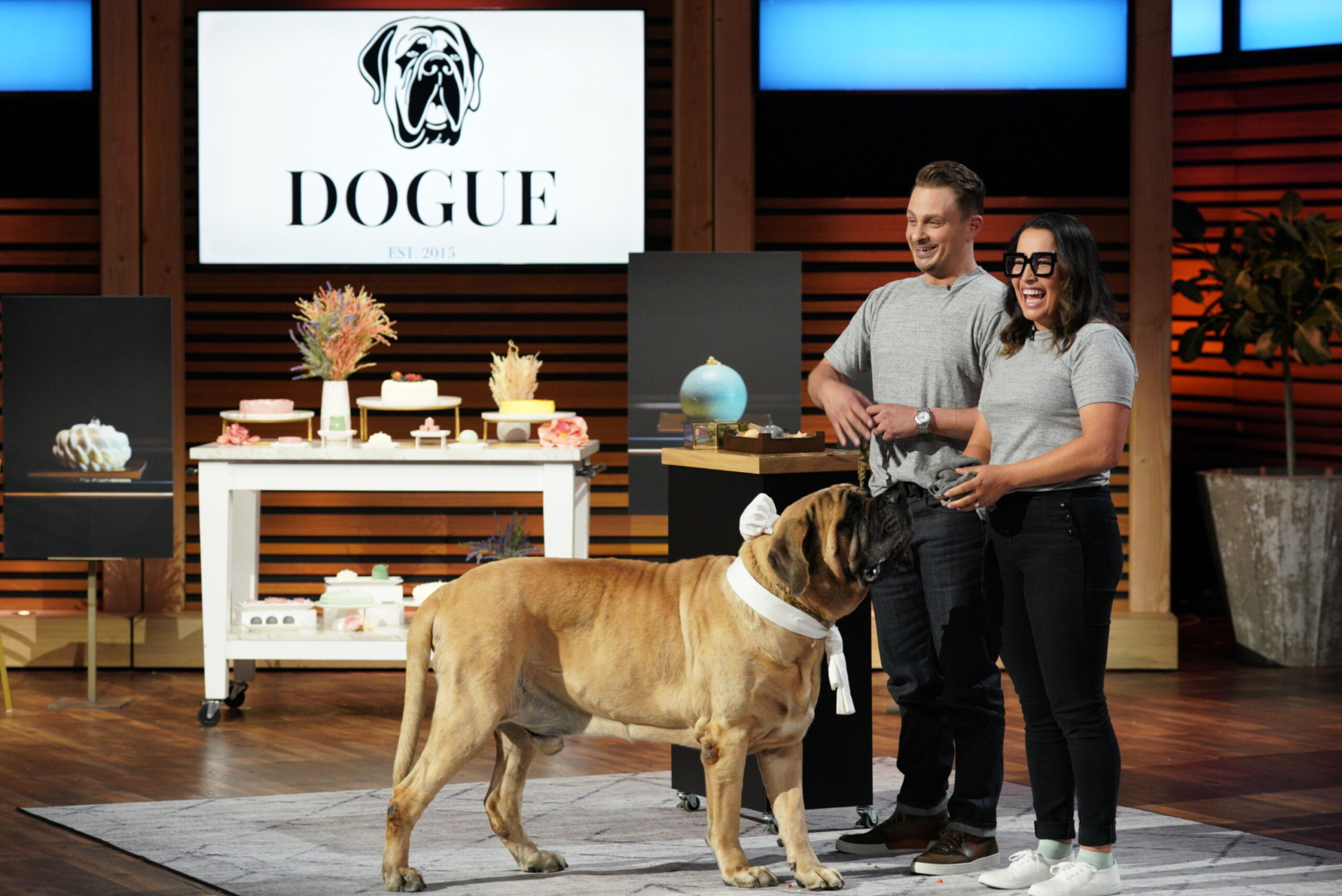 Dogue Shark Tank Update – Shark Tank Season 15