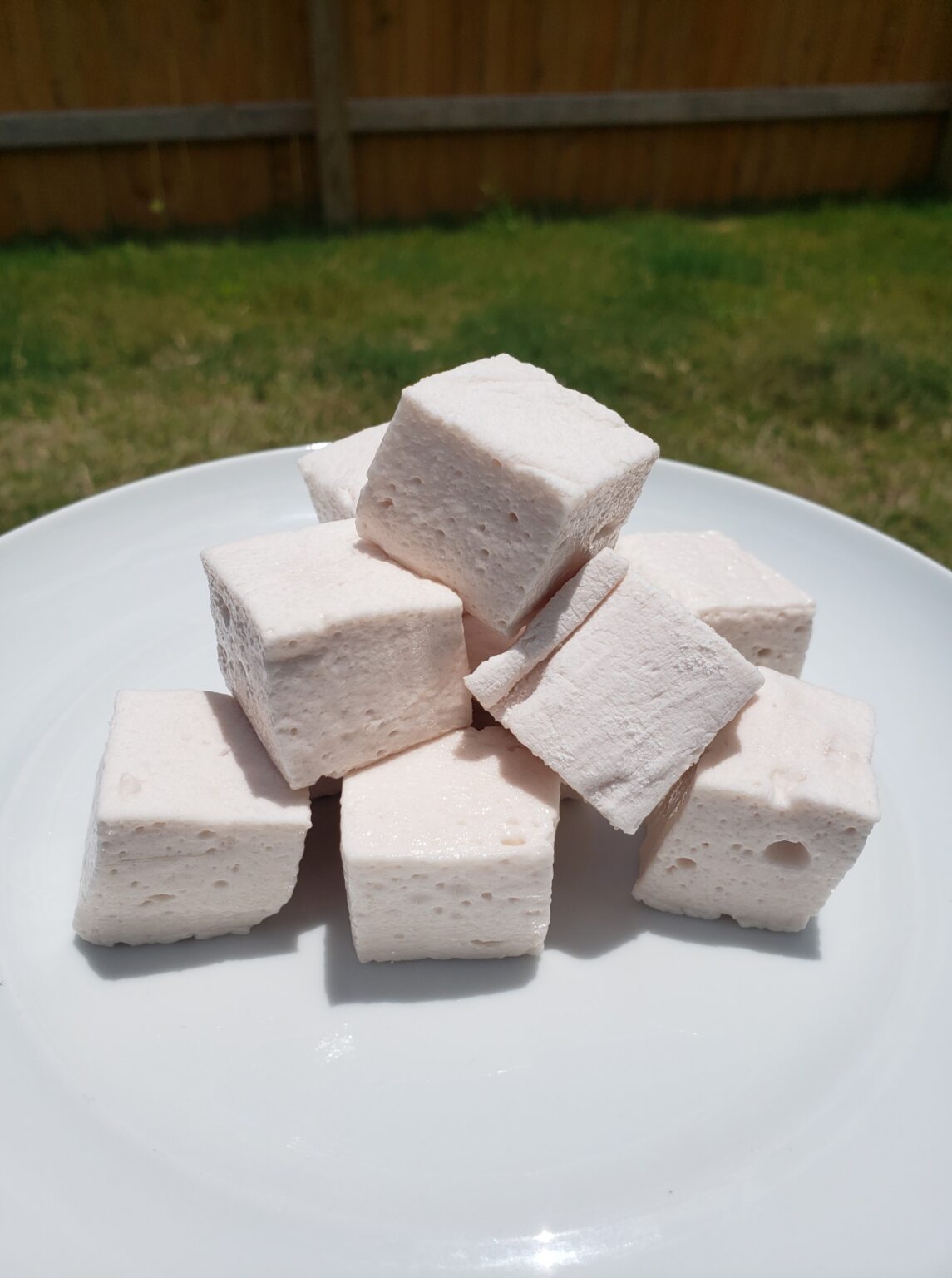 Funky Mellow: The Marshmallow Revolutionaries - Shark Tank Blog