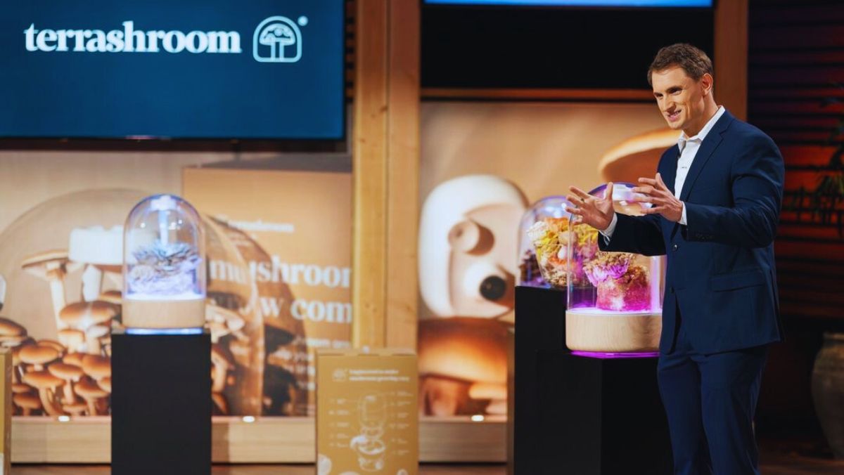 Terrashroom - Shark Tank Season 16