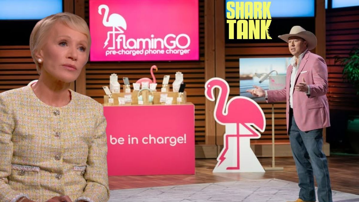 FlaminGo Shark Tank Update - Shark Tank Season 16